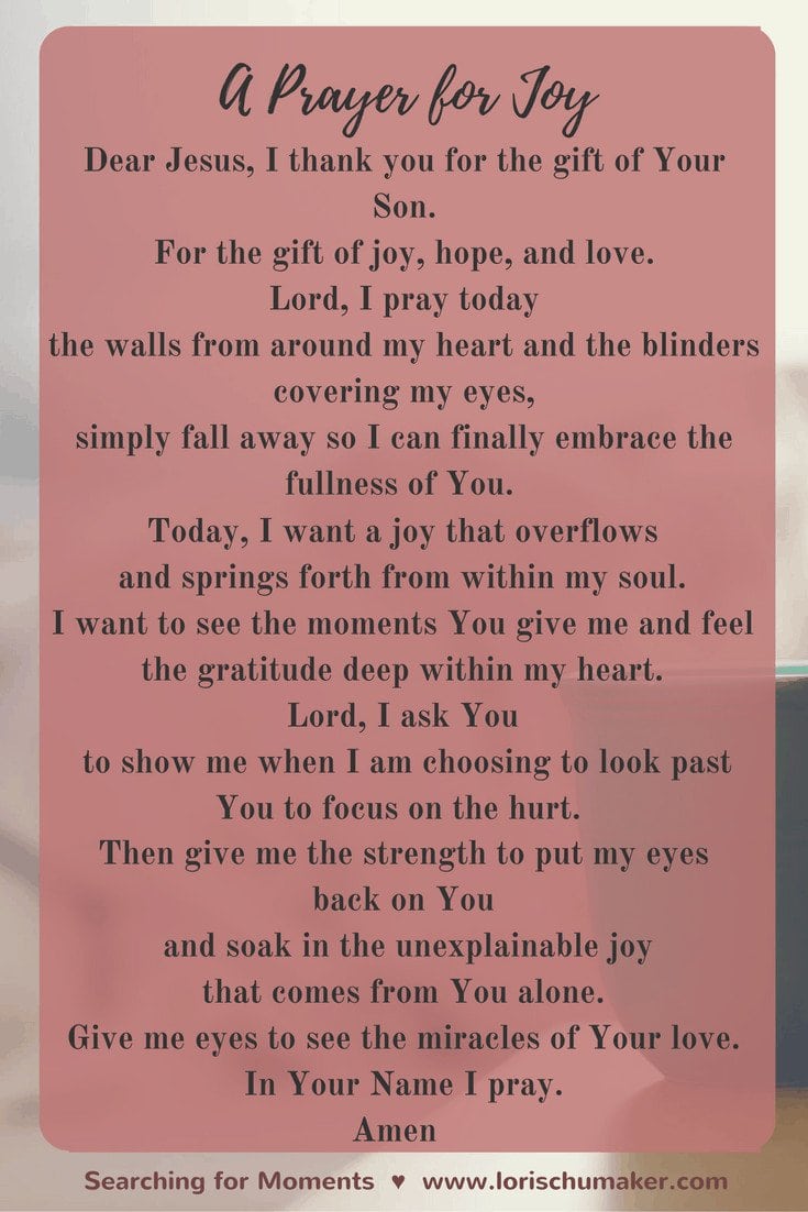 A Prayer for Joy - Lori Schumaker
